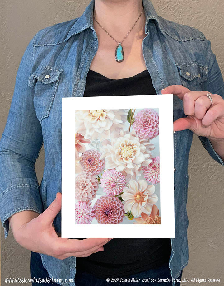 DAHLIA PRINTS (Canvas & Paper) - Steel Cow Lavender Farm