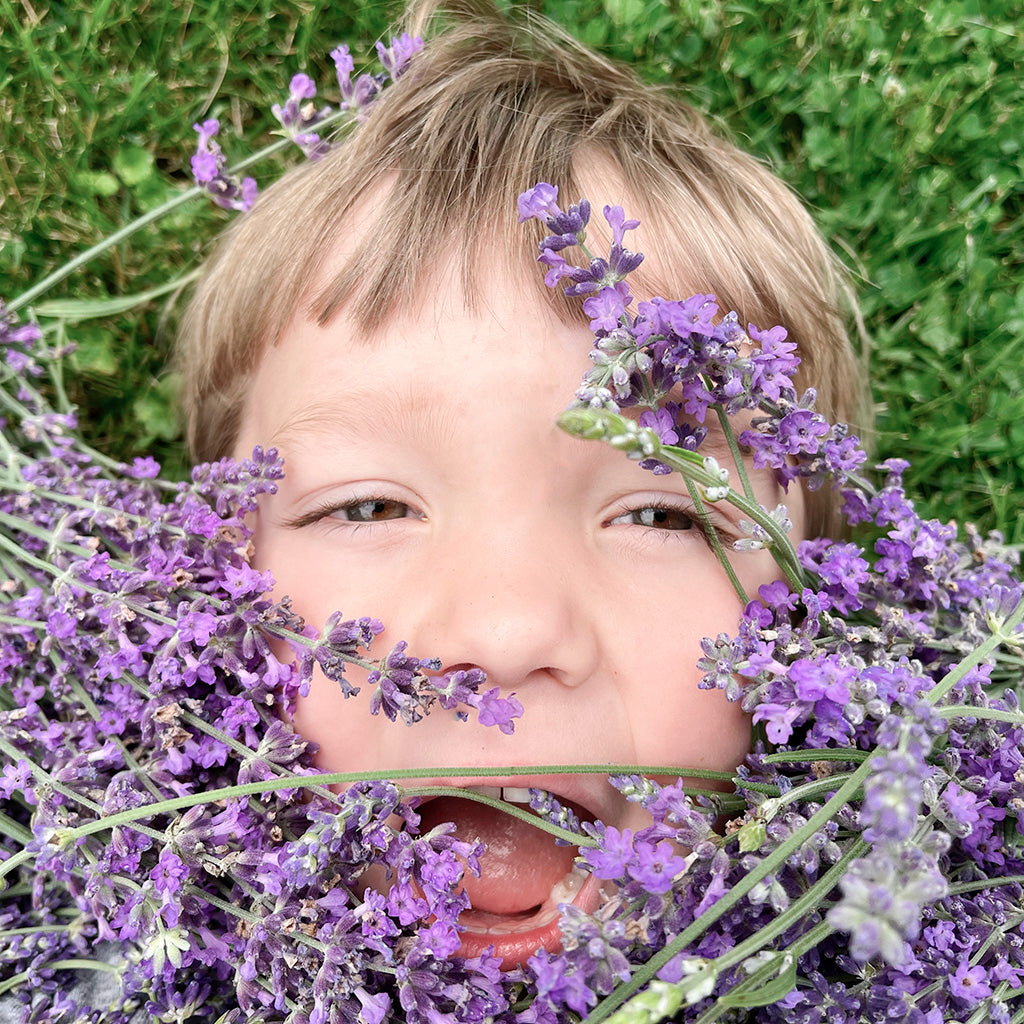 7 EASY ways to use Lavender in YOUR everyday life - Steel Cow Lavender Farm