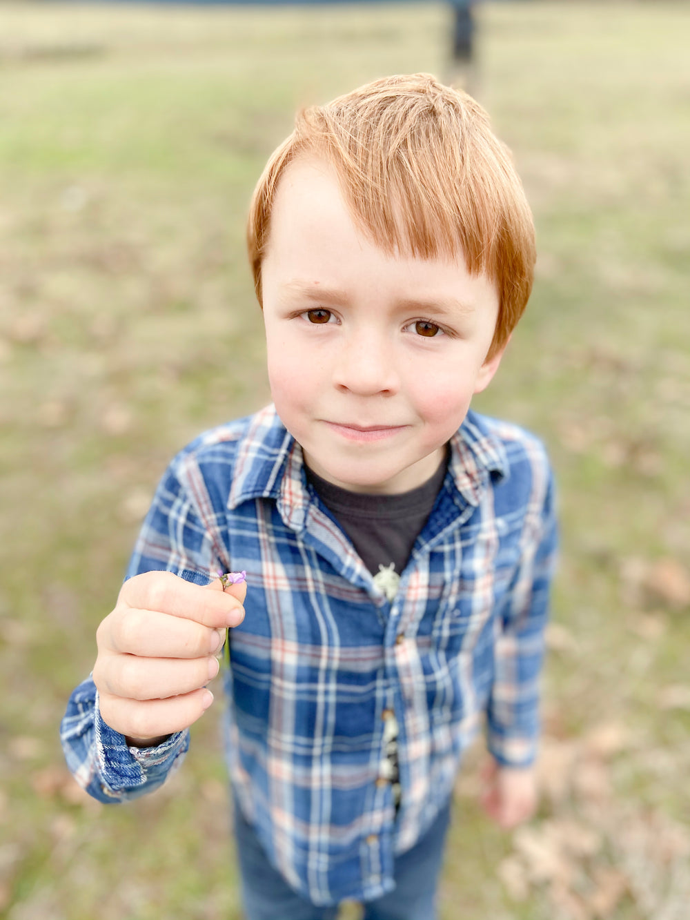 MEET THE MILLERS - Steel Cow Lavender Farm