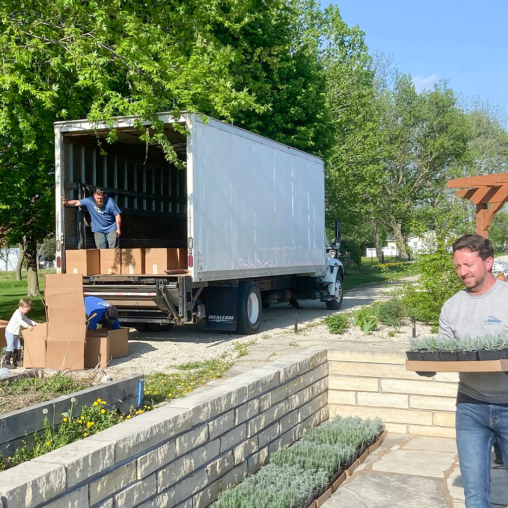 ABOUT STEEL COW LAVENDER FARM - Steel Cow Lavender Farm