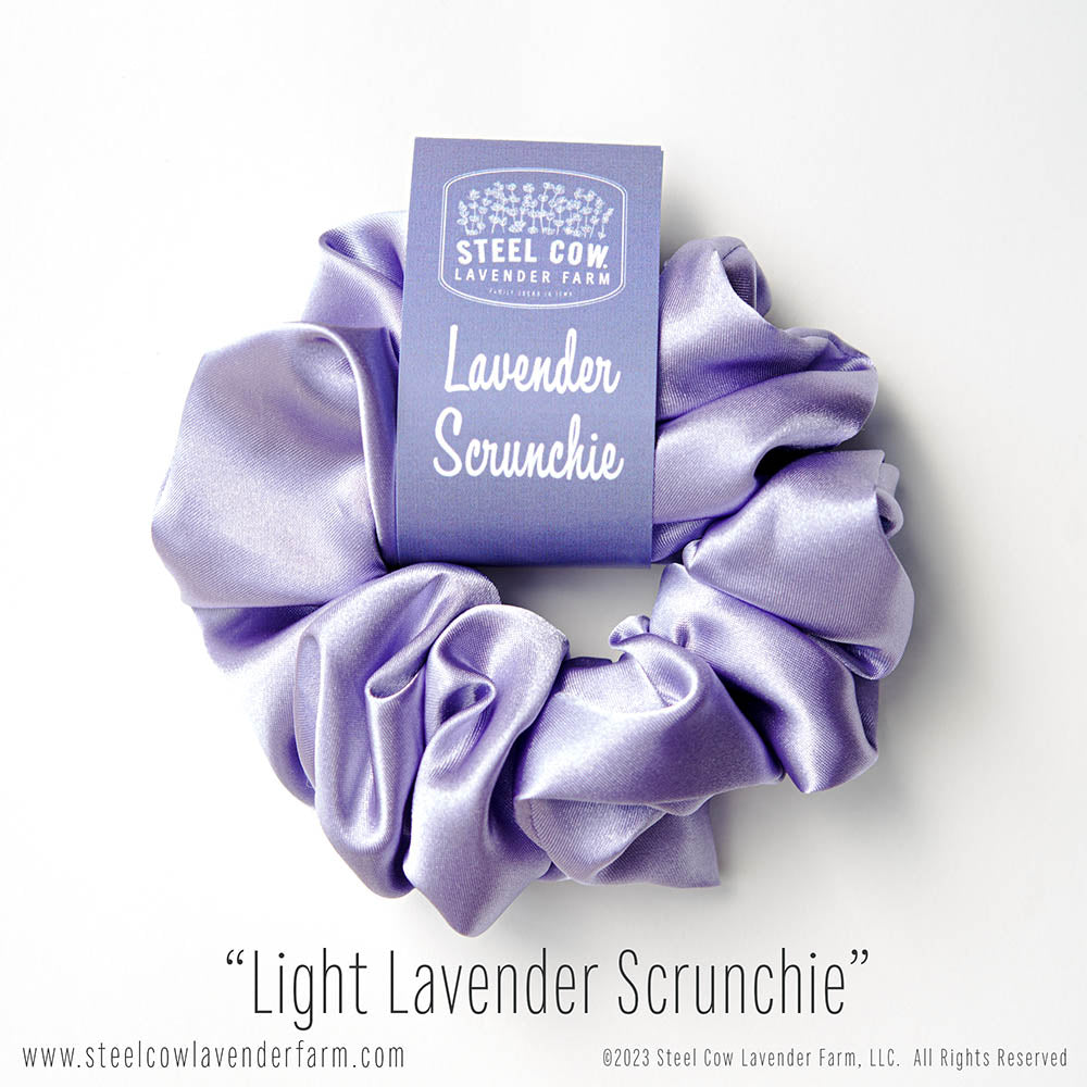 LAVENDER - Steel Cow Lavender Farm