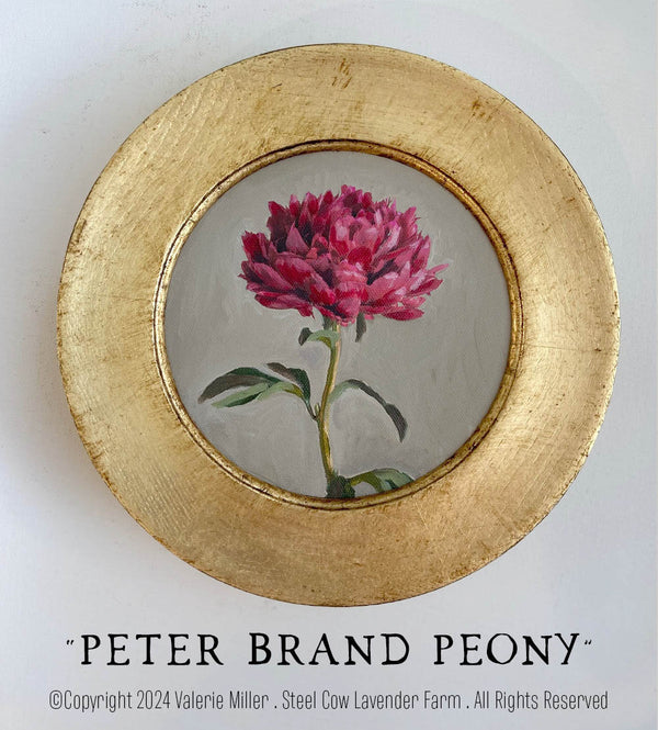 Peter Brand Peony Original Painting - Steel Cow Lavender Farm