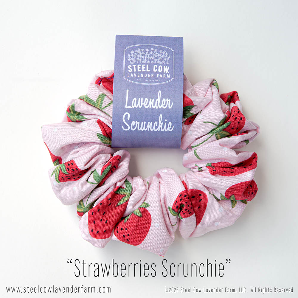 LAVENDER - Steel Cow Lavender Farm