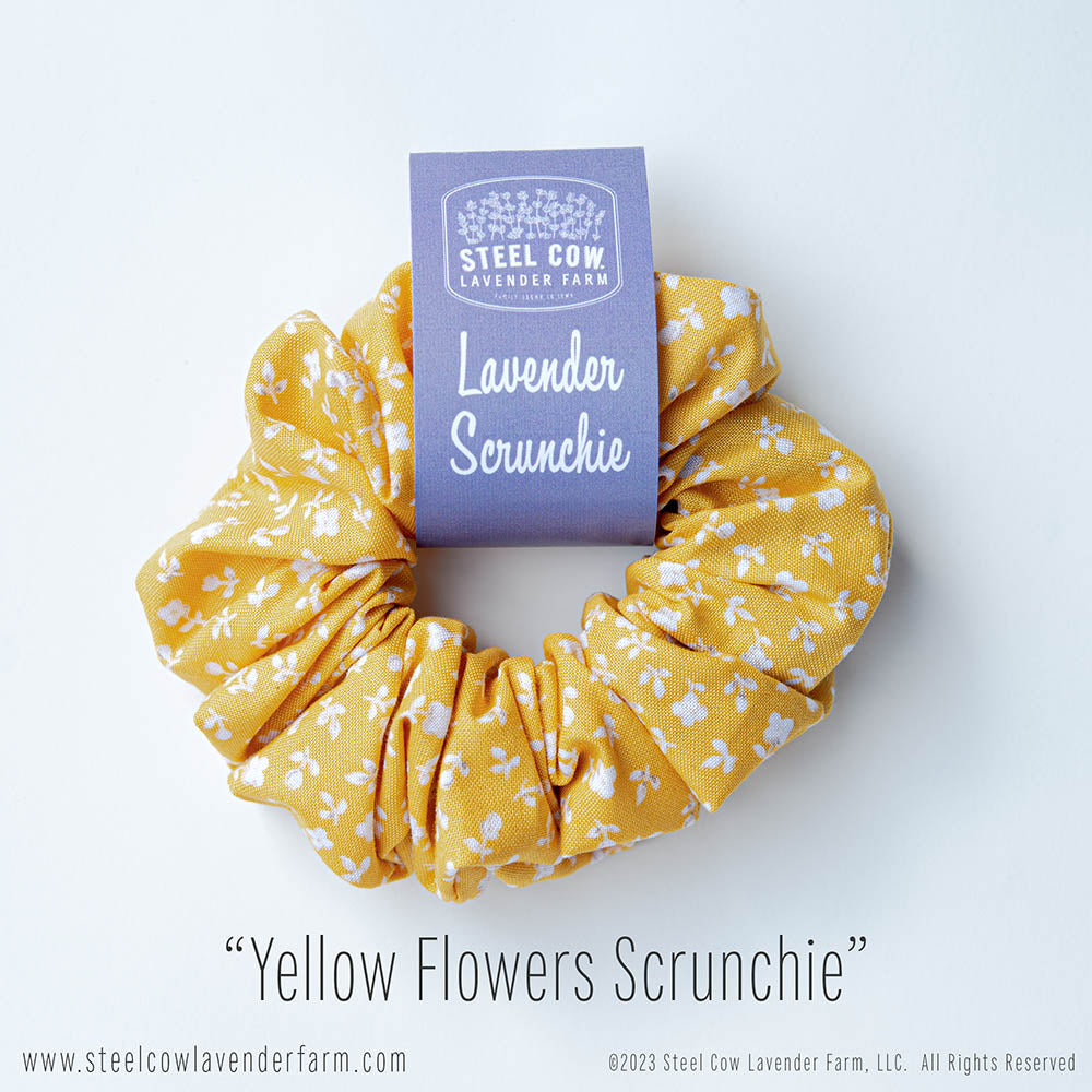 LAVENDER - Steel Cow Lavender Farm