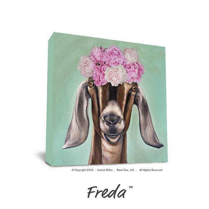 Freda Peony Friends - Steel Cow Lavender Farm